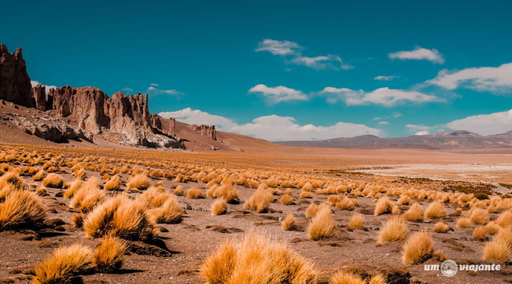 Roteiro Atacama: o que fazer em 5, 6 ou 7 dias no deserto do Chile | Um ...