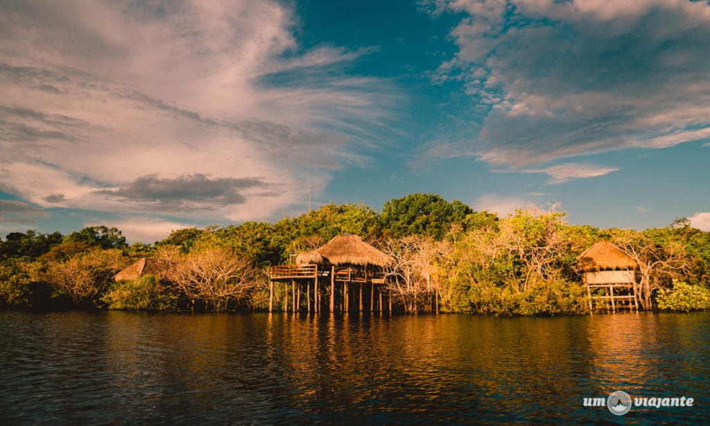 Juma Amazon Lodge: como é a estadia em um hotel de selva na Amazônia ...