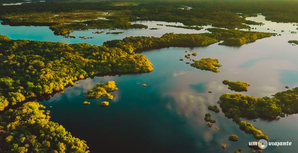Quando ir para a Amazônia: clima e melhor época para viajar - Um Viajante