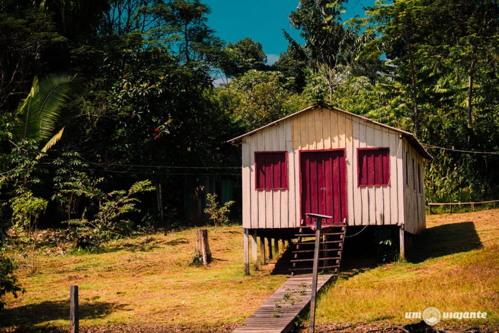 Juma Amazon Lodge: como é a estadia em um hotel de selva na Amazônia ...