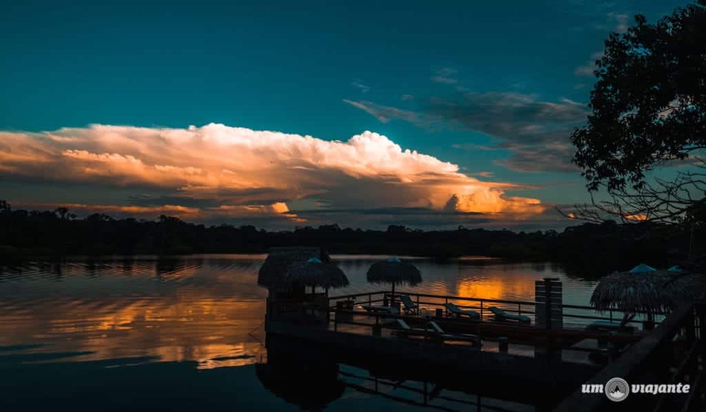 Roteiro Amazônia: minha primeira viagem para a Floresta Amazônica - Um ...