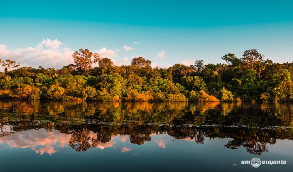 Quando ir para a Amazônia: clima e melhor época para viajar - Um Viajante