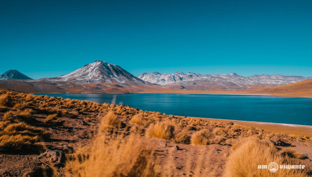 Clima no Chile: qual a melhor época para viajar em cada região - Um ...
