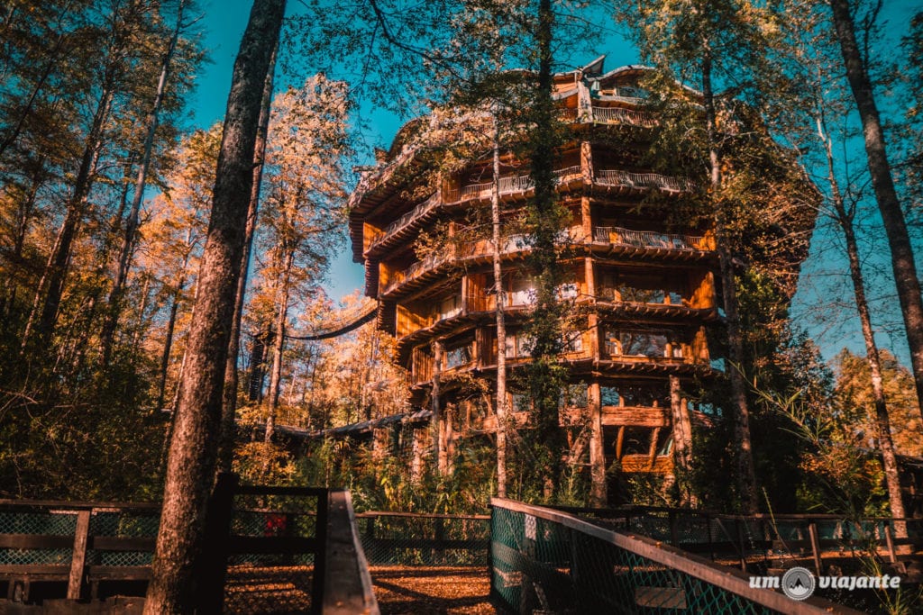 Hotel Nothofagus Huilo Huilo: um dos mais incríveis da reserva, no ...