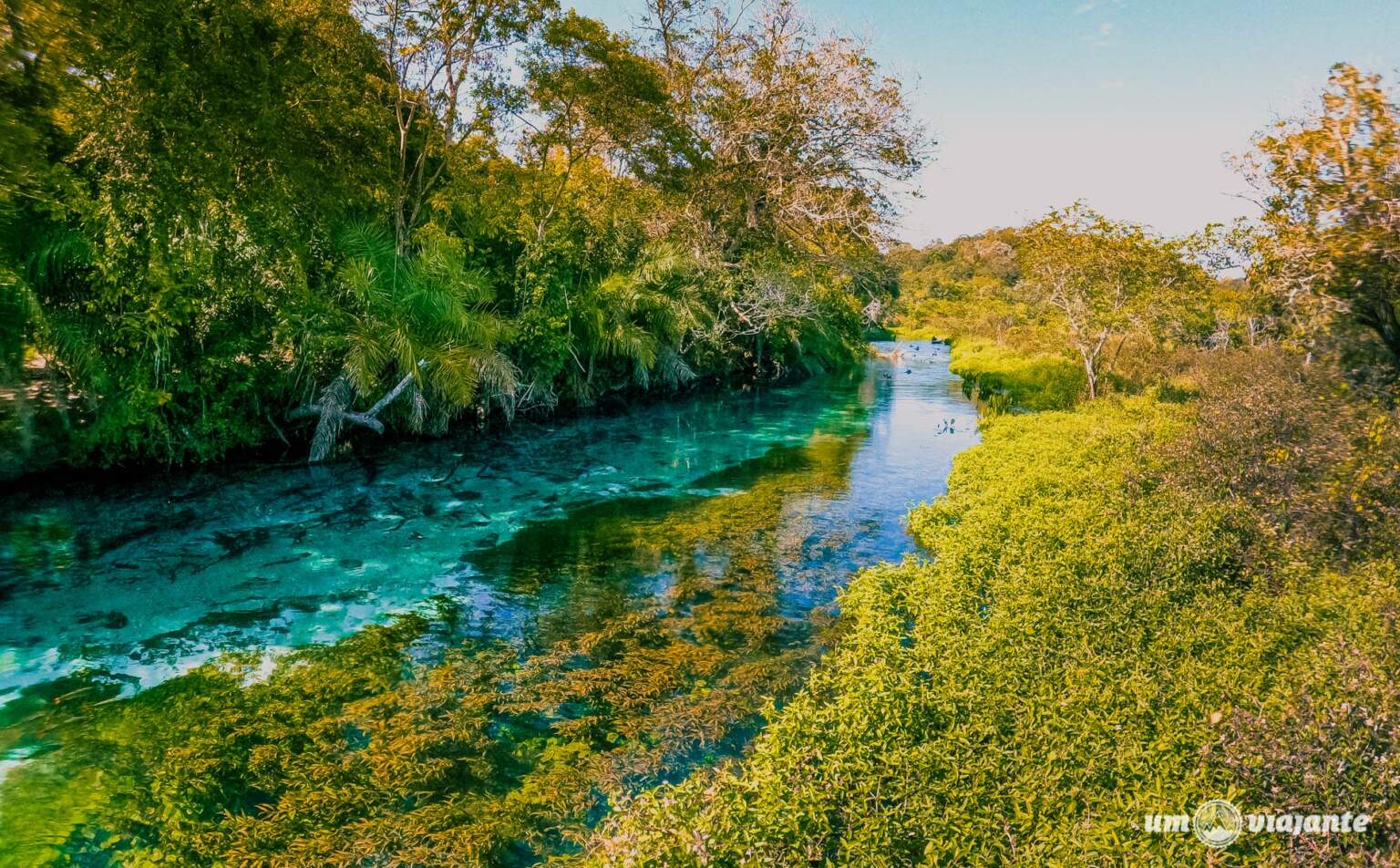 Roteiro Bonito e Pantanal: 8, 9 e 10 dias de viagem - Completo