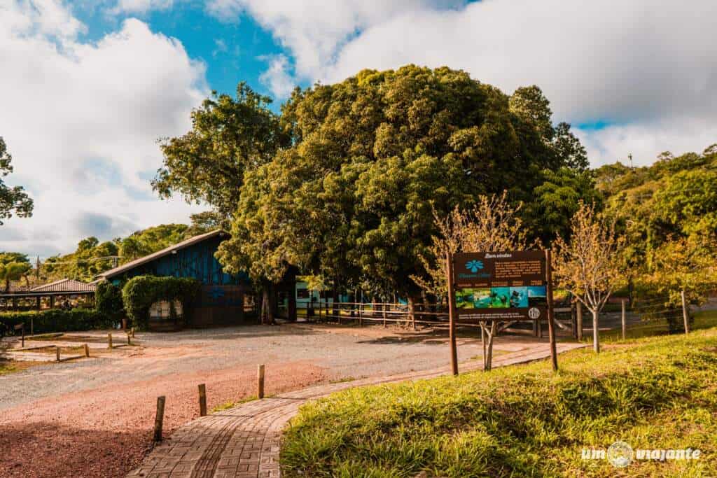 Nascente Azul Bonito-MS: Vale a pena? Flutuação, tirolesa e preço