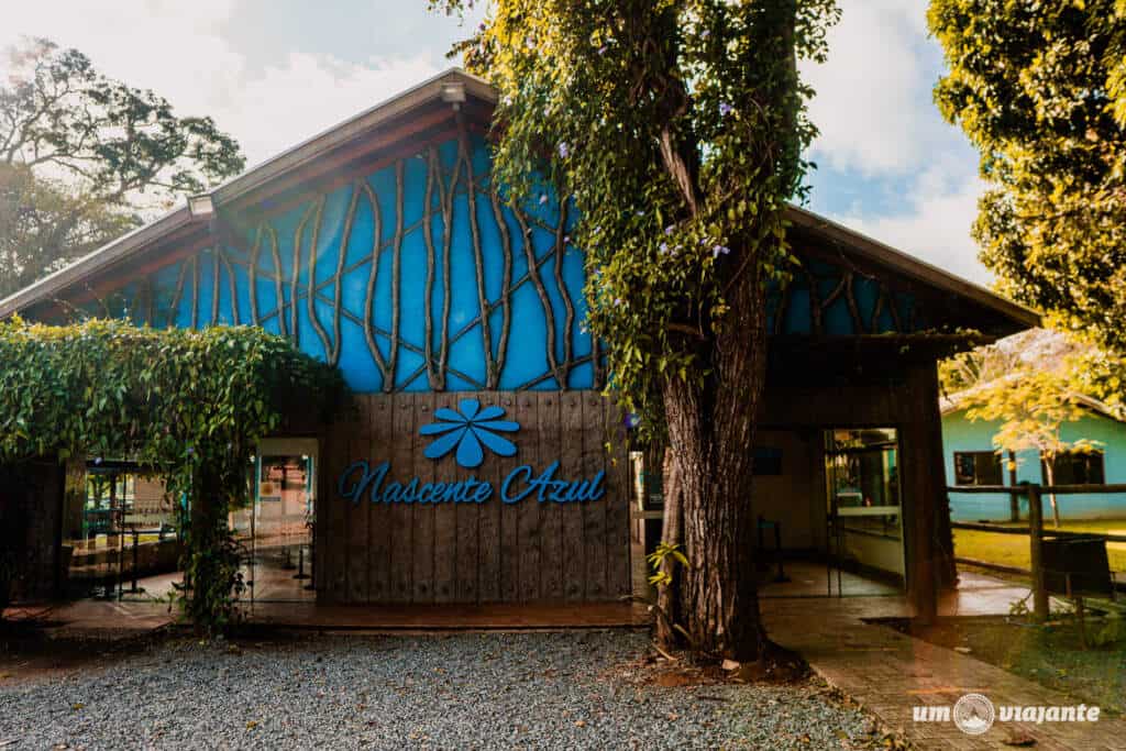 Nascente Azul Bonito-MS: Vale a pena? Flutuação, tirolesa e preço