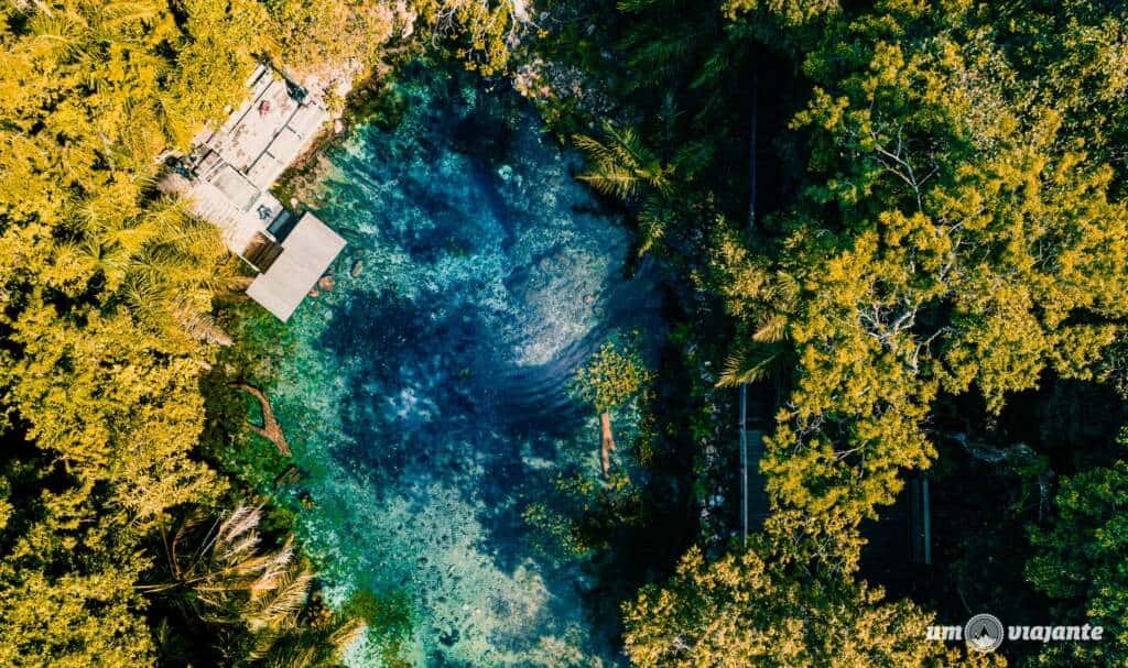 Nascente Azul Bonito-MS: Vale a pena? Flutuação, tirolesa e preço