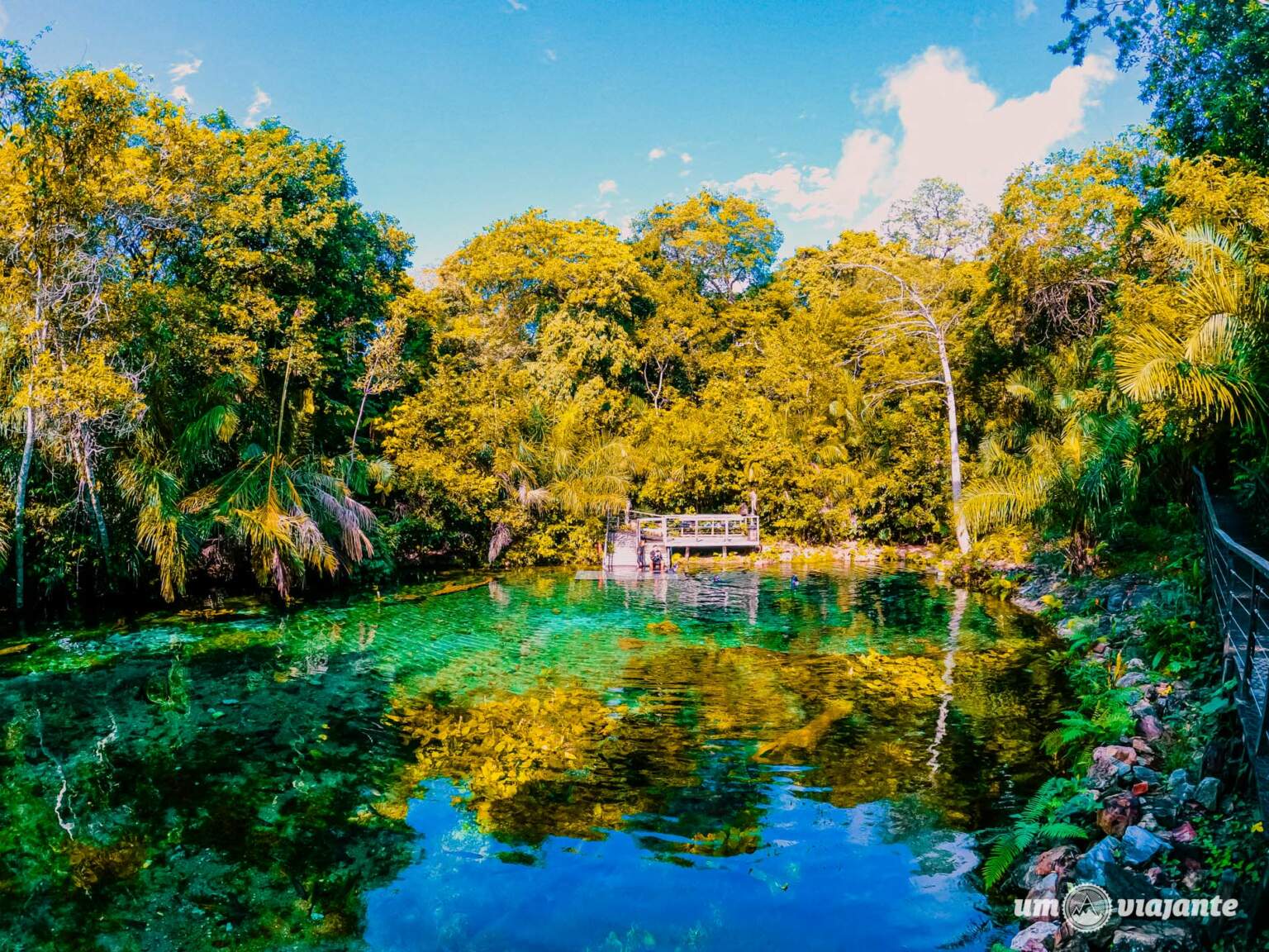 Nascente Azul Bonito-MS: Vale a pena? Flutuação, tirolesa e preço