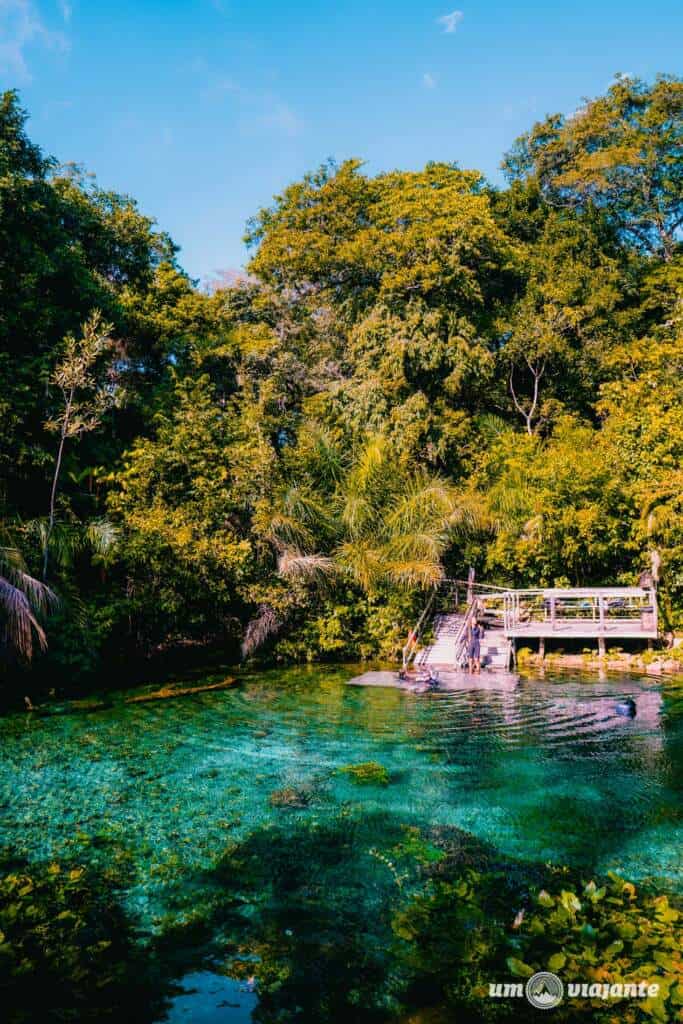 Nascente Azul Bonito-MS: Vale a pena? Flutuação, tirolesa e preço