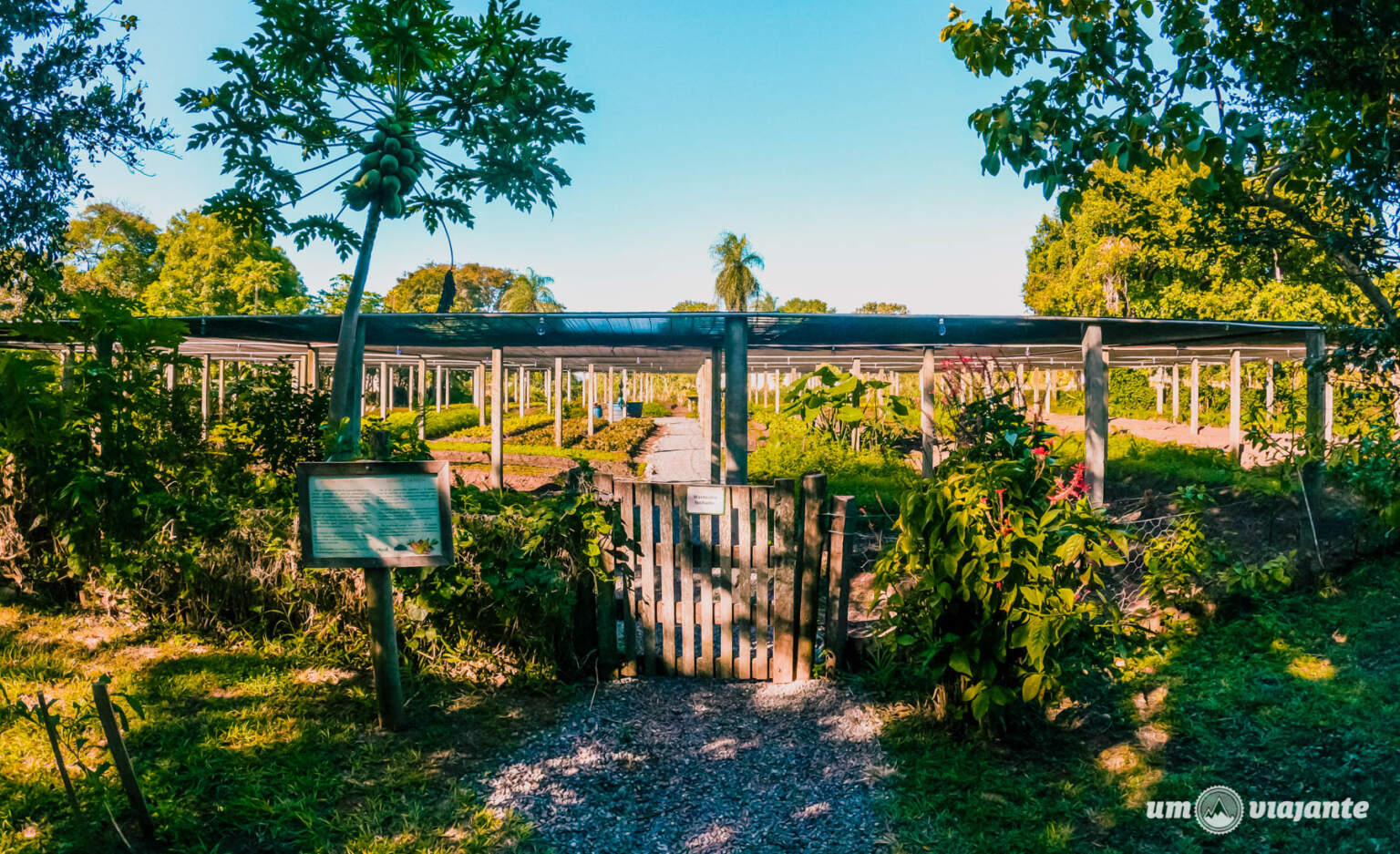 BONITO: Flutuação Rio da Prata Vale a pena? 2025