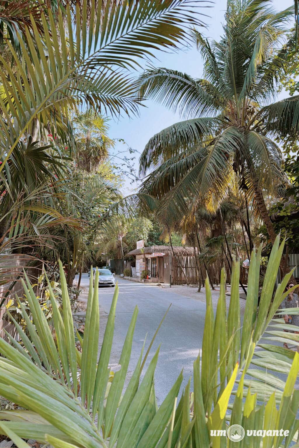 12 Dicas de Tulum que você precisa saber - Atualizado 2024 México